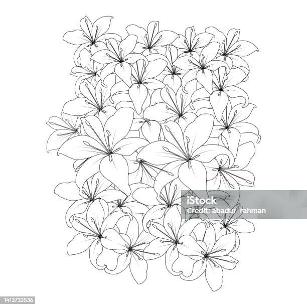 Gambar Halaman Pewarna Bunga Lily Dengan Gambar Seni Garis Untuk Elemen ... Gambar Halaman Pewarna Bunga Lily Dengan Gambar Seni Garis Untuk Elemen ...