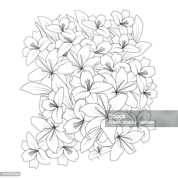 Gambar Halaman Pewarna Bunga Lily Dengan Gambar Seni Garis Untuk Elemen ... Gambar Halaman Pewarna Bunga Lily Dengan Gambar Seni Garis Untuk Elemen ...