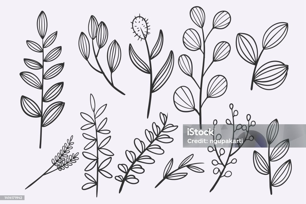Flower Leaves Doodle Hand Drawn Vector Illustration Set Stock
