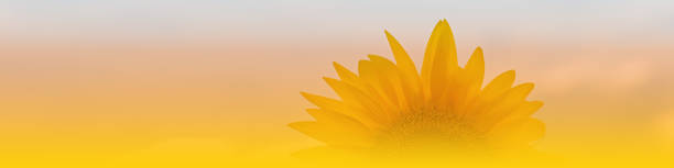 900+ LinkedIn Background Images: Download HD Backgrounds on Unsplash