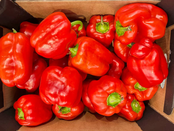 Red Pepper Pictures | Download Free Images on Unsplash
