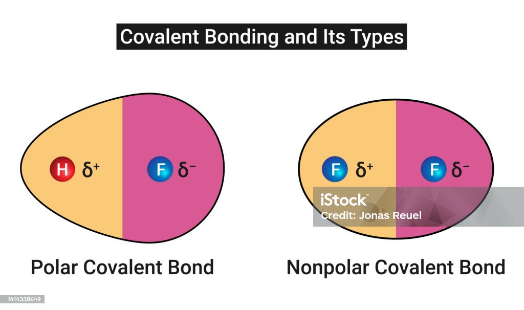 Polar Covalent Bond And Nonpolar Covalent Bond Stock Illustration ... Polar Covalent Bond And Nonpolar Covalent Bond Stock Illustration ...