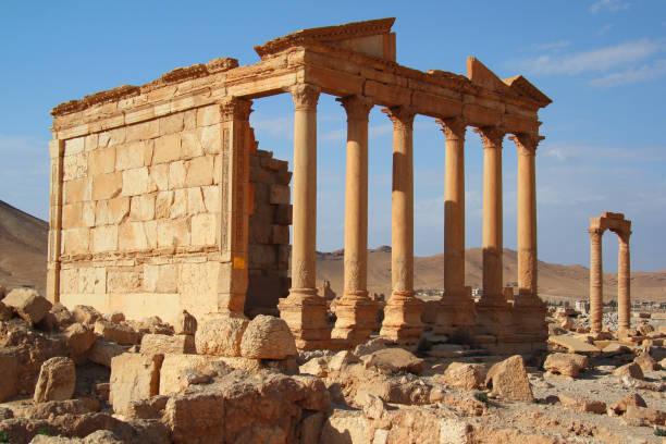 750+ Syria Pictures | Download Free Images on Unsplash