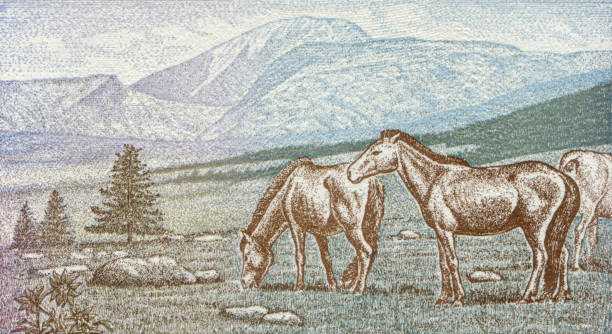 Free picture: Majestic fine arts sketch drawing of horse stallion