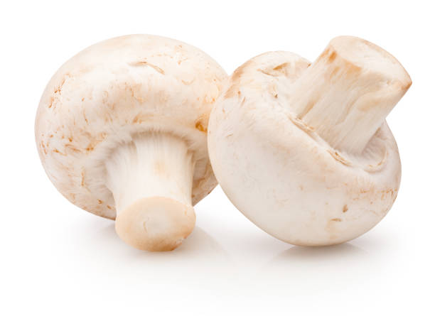 Free champignon stock photos. Download the best free champignon images ...