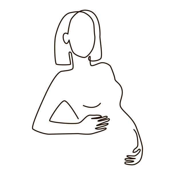 970 Pregnant Woman Outline Drawing Ilustração De Stock Gráficos