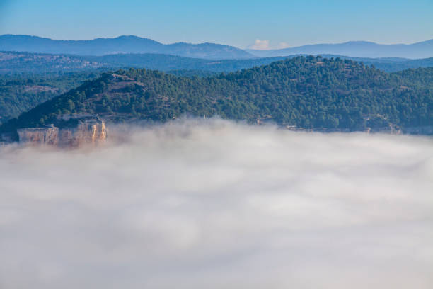 Niebla Pictures | Download Free Images on Unsplash