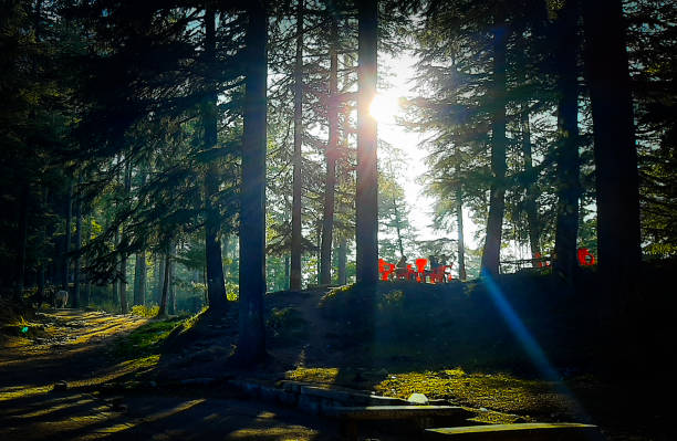 1K+ Murree, Pakistan Pictures | Download Free Images on Unsplash