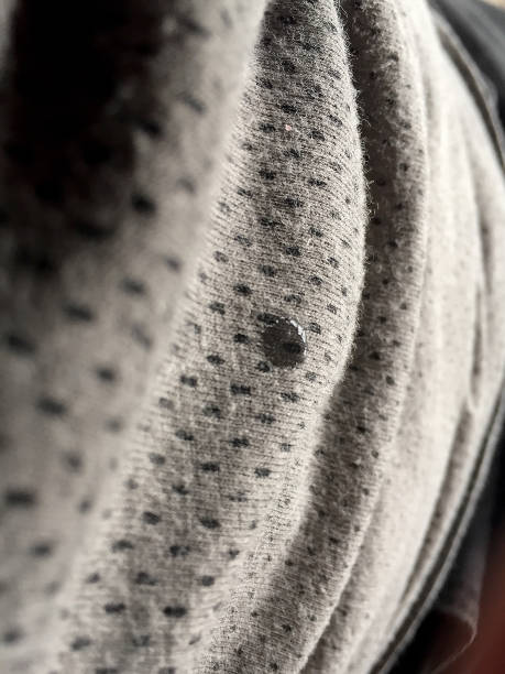 500+ Wet T Shirt Pictures [HD] | Download Free Images on Unsplash