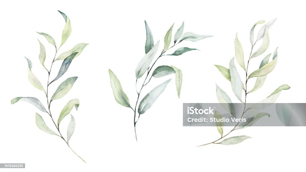 Ilustración De Ramo De Ilustración Floral En Acuarela Colección De