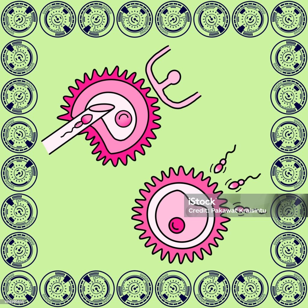 The Human Fertilization Stock Illustration Download Image Now Care