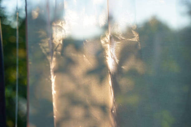 Light Through Window Pictures | Download Free Images on Unsplash