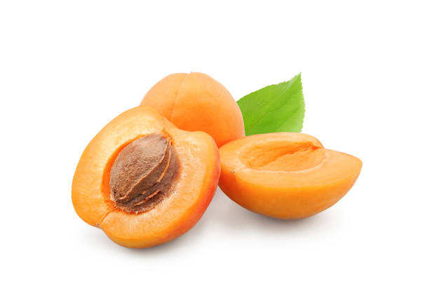1,000+ Free Apricot & Apricot Tree Images - Pixabay