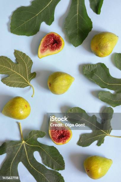 Buah Ara Dan Daun Hijau Pohon Ara Dengan Latar Belakang Biru Berbaring