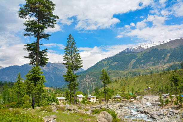 Kalam Pictures | Download Free Images on Unsplash