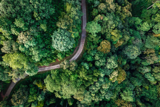 350+ Environment Pictures [HQ] | Download Free Images & Stock Photos on ...