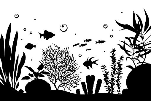 Siluet Hitam Putih Terumbu Karang Laut Pemandangan Laut Dengan Ikan ... Siluet Hitam Putih Terumbu Karang Laut Pemandangan Laut Dengan Ikan ...