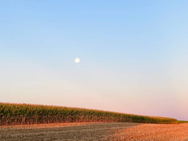 Free picture: sunrise, farm, farmland, sunrays, landscape, atmosphere ...