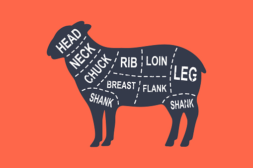 Sheep Diagram Cuts Butcher Scheme Poster Cuts Of Sheep Meat Meat Diagram Scheme Illustration