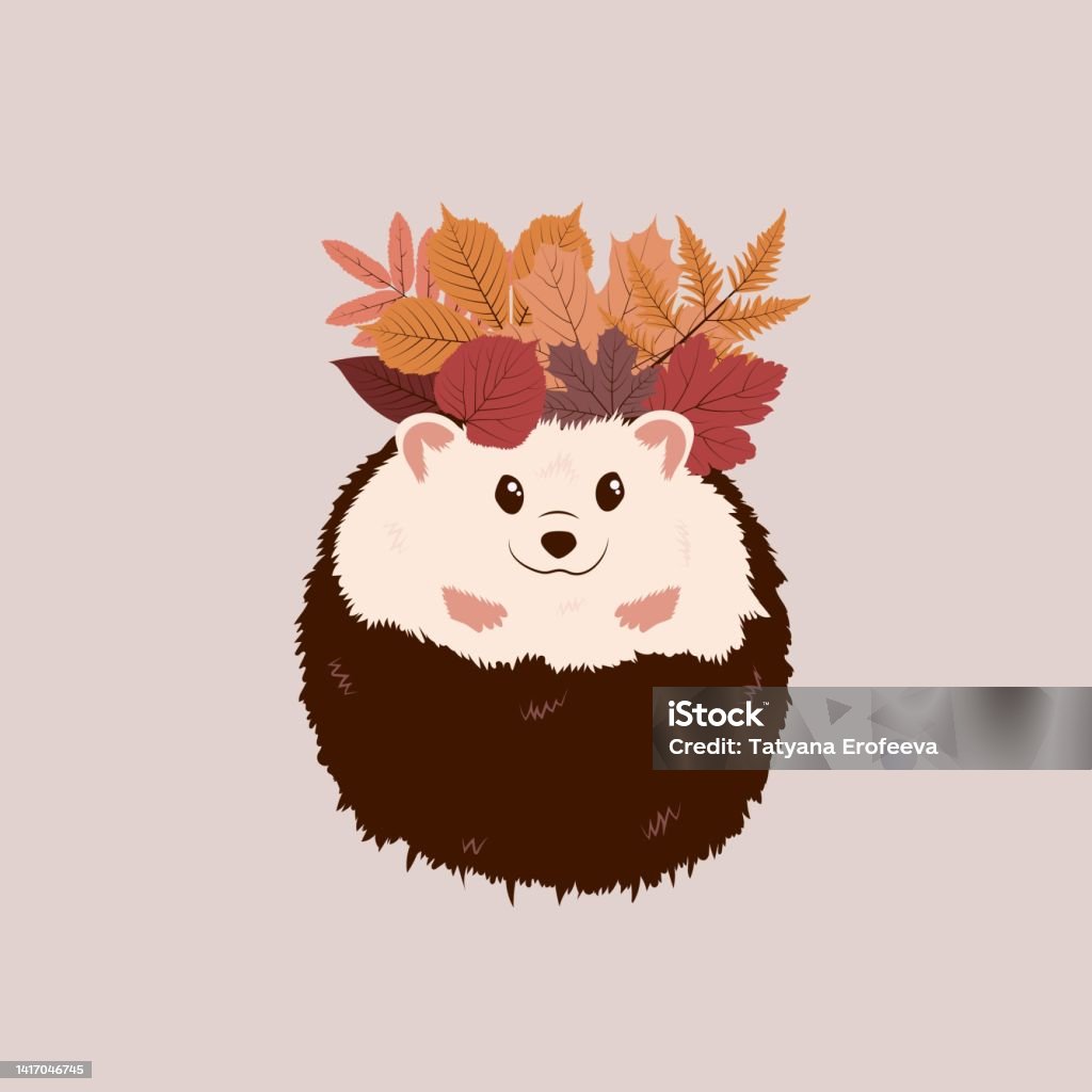 Vector Hedgehog With Autumn Leaves Autumn Postcard With A Cute Hedgehog Autumn Leaves Maple Leaf