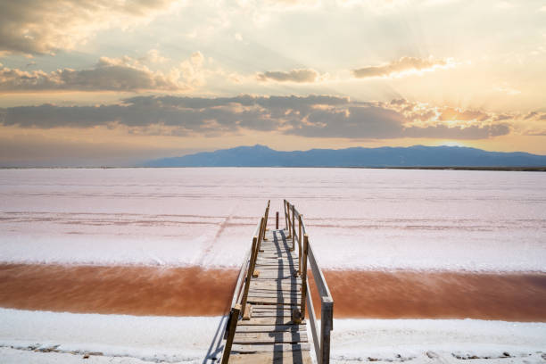 Great Salt Lake Pictures | Download Free Images on Unsplash