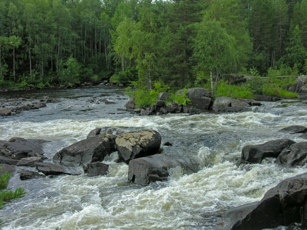 Free picture: tight, river, streams, scenics