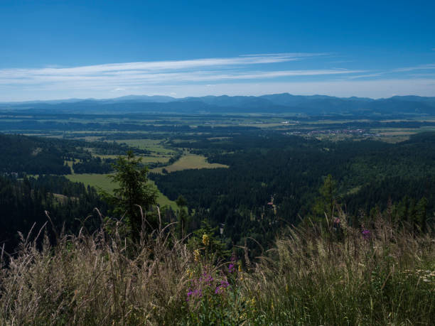Mountais Pictures | Download Free Images on Unsplash