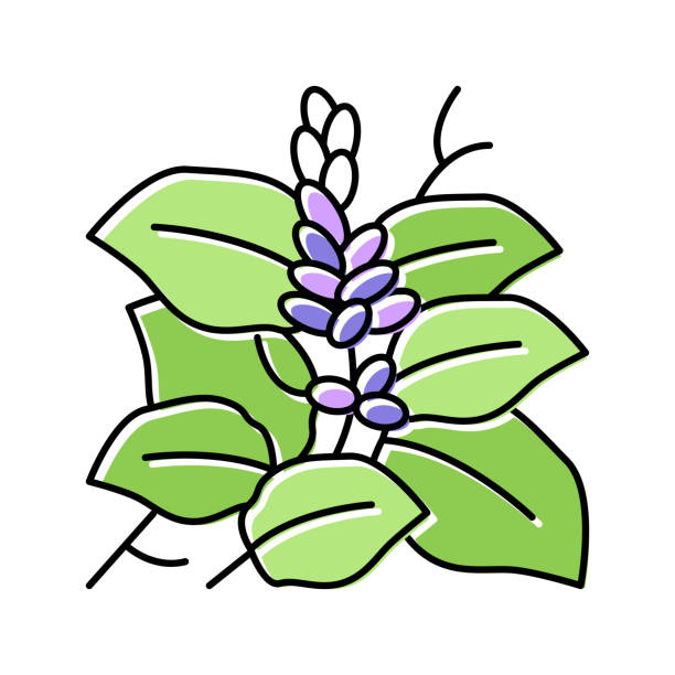 210 Kudzu Vector Stock Illustrations Royalty Free Vector Graphics And Clip Art Istock
