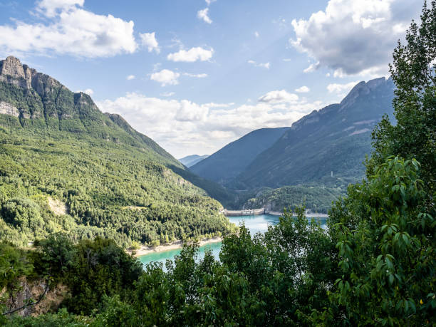 Aragon Pictures | Download Free Images on Unsplash