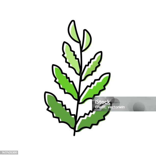 African Water Fern Color Icon Vector Illustration向量圖形及更多浮萍圖片 - 浮萍, 伊樂藻屬 ... African Water Fern Color Icon Vector Illustration向量圖形及更多浮萍圖片 - 浮萍, 伊樂藻屬 ...