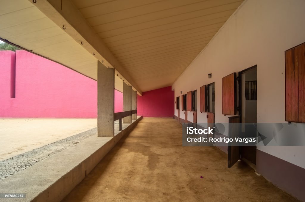 Dinding Merah Muda Cuadra San Cristobal Karya Luis Barragan Vegetasi ... Dinding Merah Muda Cuadra San Cristobal Karya Luis Barragan Vegetasi ...