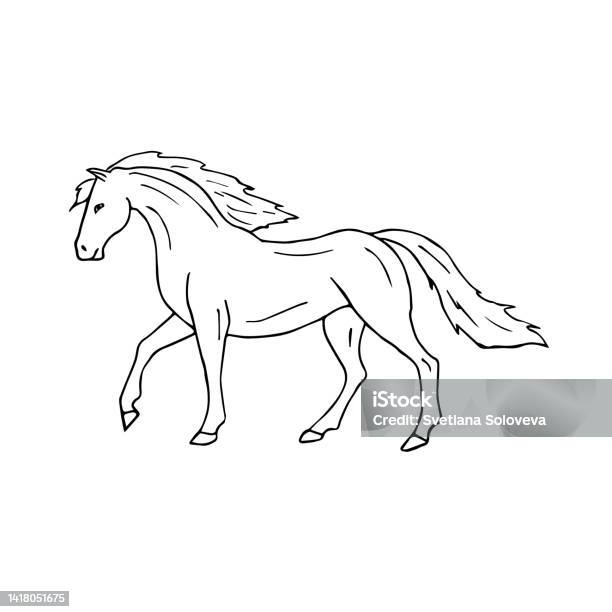 Vektor Sketsa Doodle Yang Digambar Tangan Pra Kuda Spanyol Ilustrasi ... Vektor Sketsa Doodle Yang Digambar Tangan Pra Kuda Spanyol Ilustrasi ...