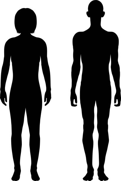 [90] Gender neutral Clipart Vector PNG , SVG, EPS, PSD, AI