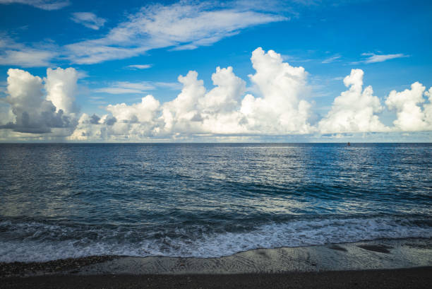 Ocena Pictures | Download Free Images on Unsplash
