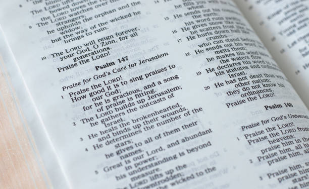Verses Pictures | Download Free Images on Unsplash