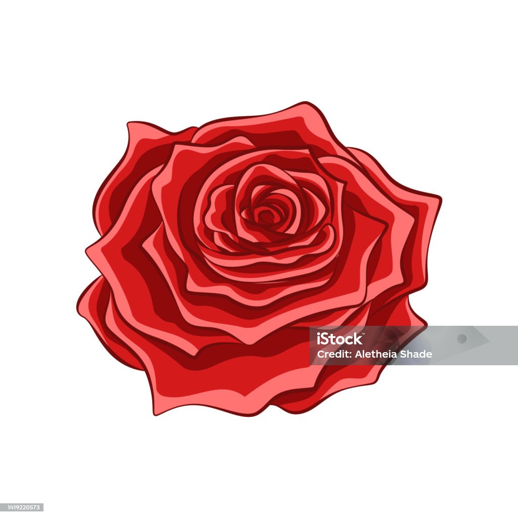 Fleur De Rose Rouge Conception Réaliste Détaillée Illustration De