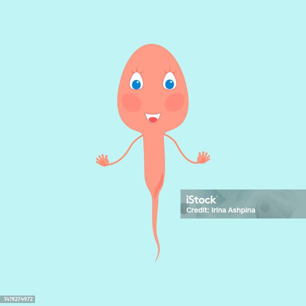 Cute Human Sperm Character Mascot Sperm Vector Isolated Vector Stock