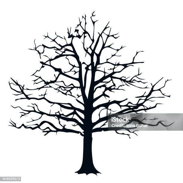 Silhouette Darbre Noir Isolé Sur Fond Blanc Vecteurs Libres De Droits
