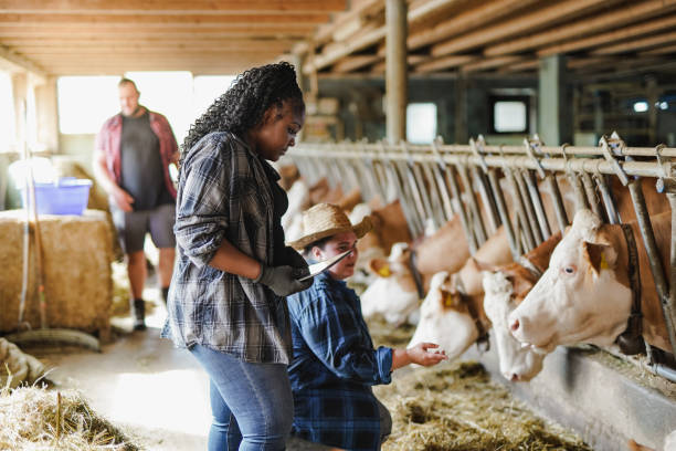 Livestock Farming Pictures | Download Free Images on Unsplash