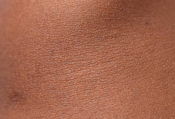 Human Skin Pictures | Download Free Images on Unsplash