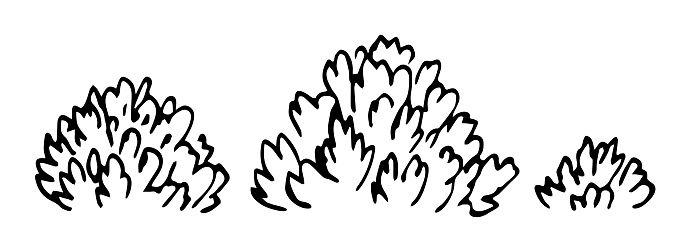 Dessin Vectoriel Simple En Contour Noir Ensemble De Buissons Plantes De