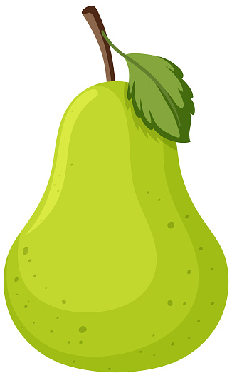Buah Pir Terisolasi Dengan Latar Belakang Putih Ilustrasi Stok Unduh