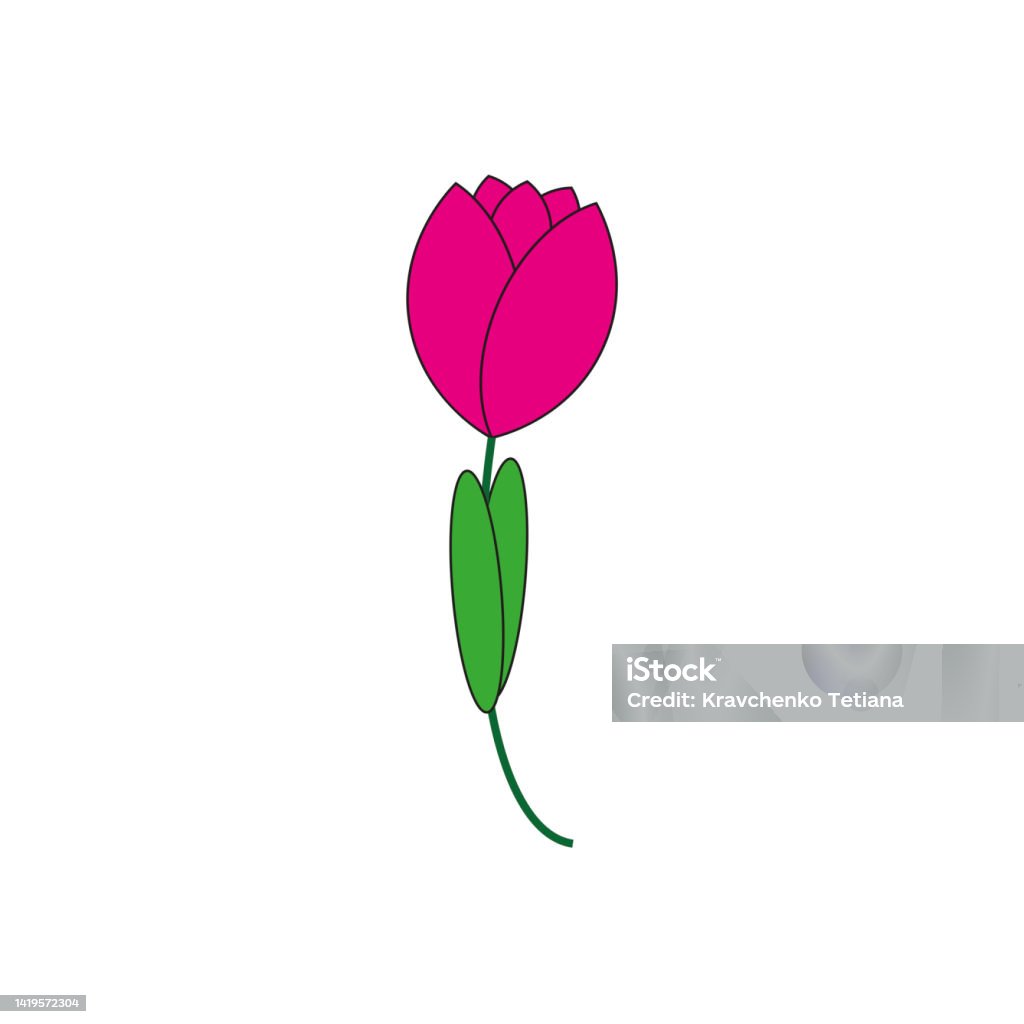 Doodle One Tulip Spring Botanical Print Vector Illustration Stock Image Stock Illustration