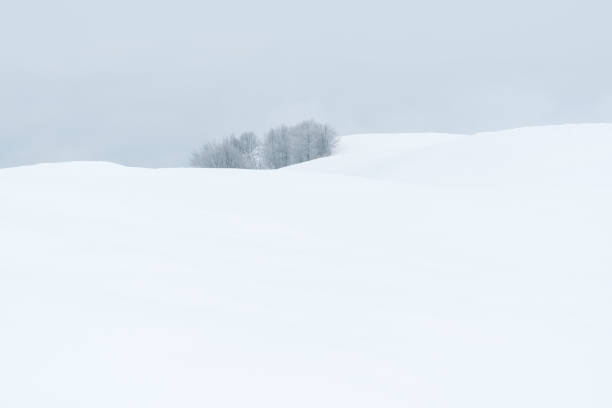Snowfield Pictures | Download Free Images on Unsplash