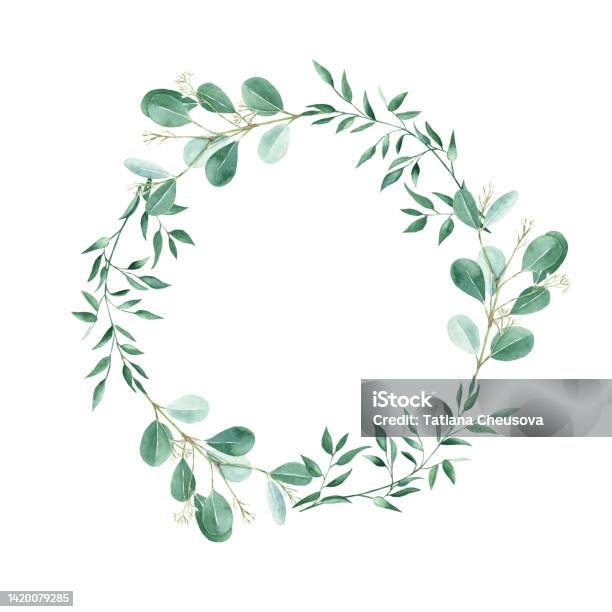 Couronne Daquarelle Isolée Sur Fond Blanc Verdure Rustique Branches De