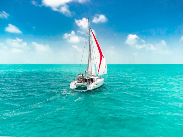 Catamaran Pictures | Download Free Images on Unsplash