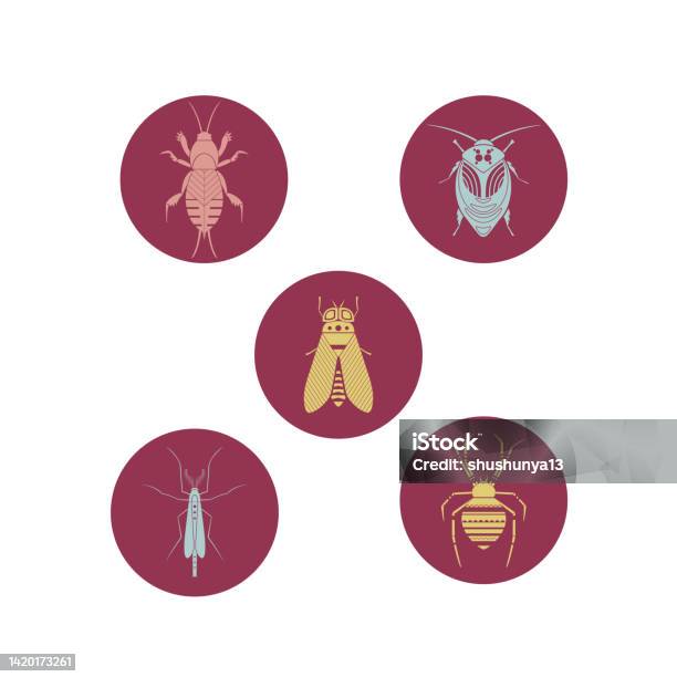 Geometric Insects Flat Vector Illustrations Icons Set Stock
