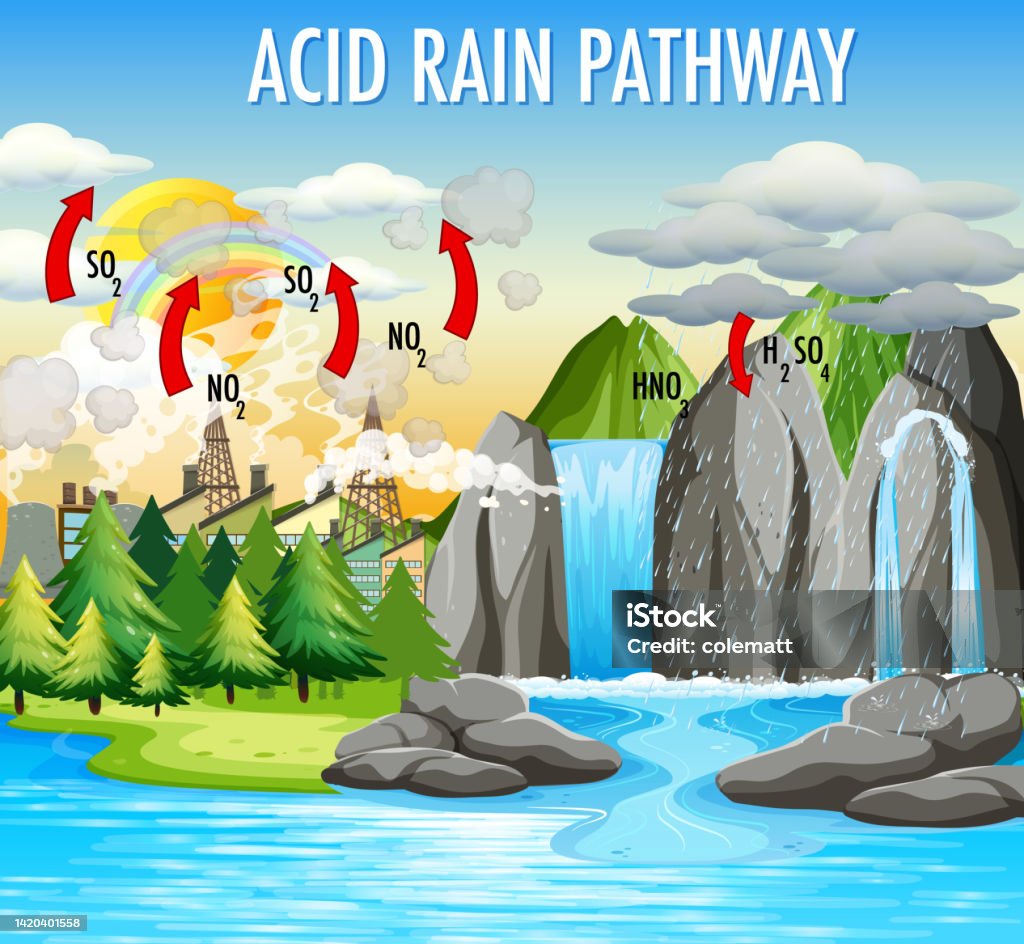 Diagram Showing Acid Rain Pathway Stock Illustration - Download Image ... Diagram Showing Acid Rain Pathway Stock Illustration - Download Image ...