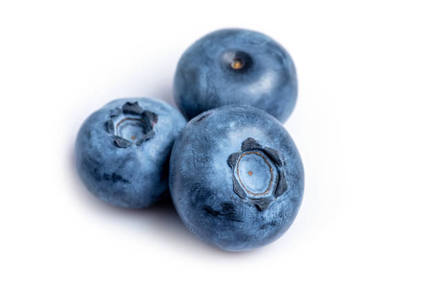 Bluberry Pictures | Download Free Images on Unsplash
