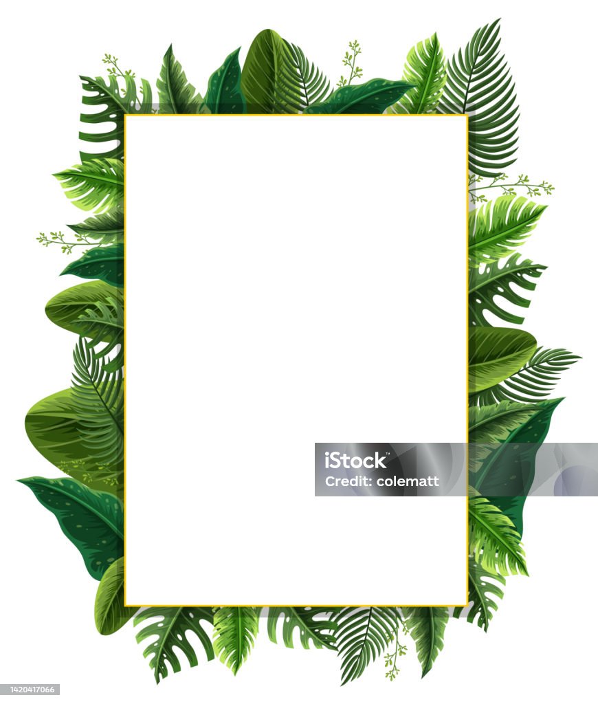 Bingkai Persegi Dengan Daun Hijau Tropis Ilustrasi Stok - Unduh Gambar ... Bingkai Persegi Dengan Daun Hijau Tropis Ilustrasi Stok - Unduh Gambar ...